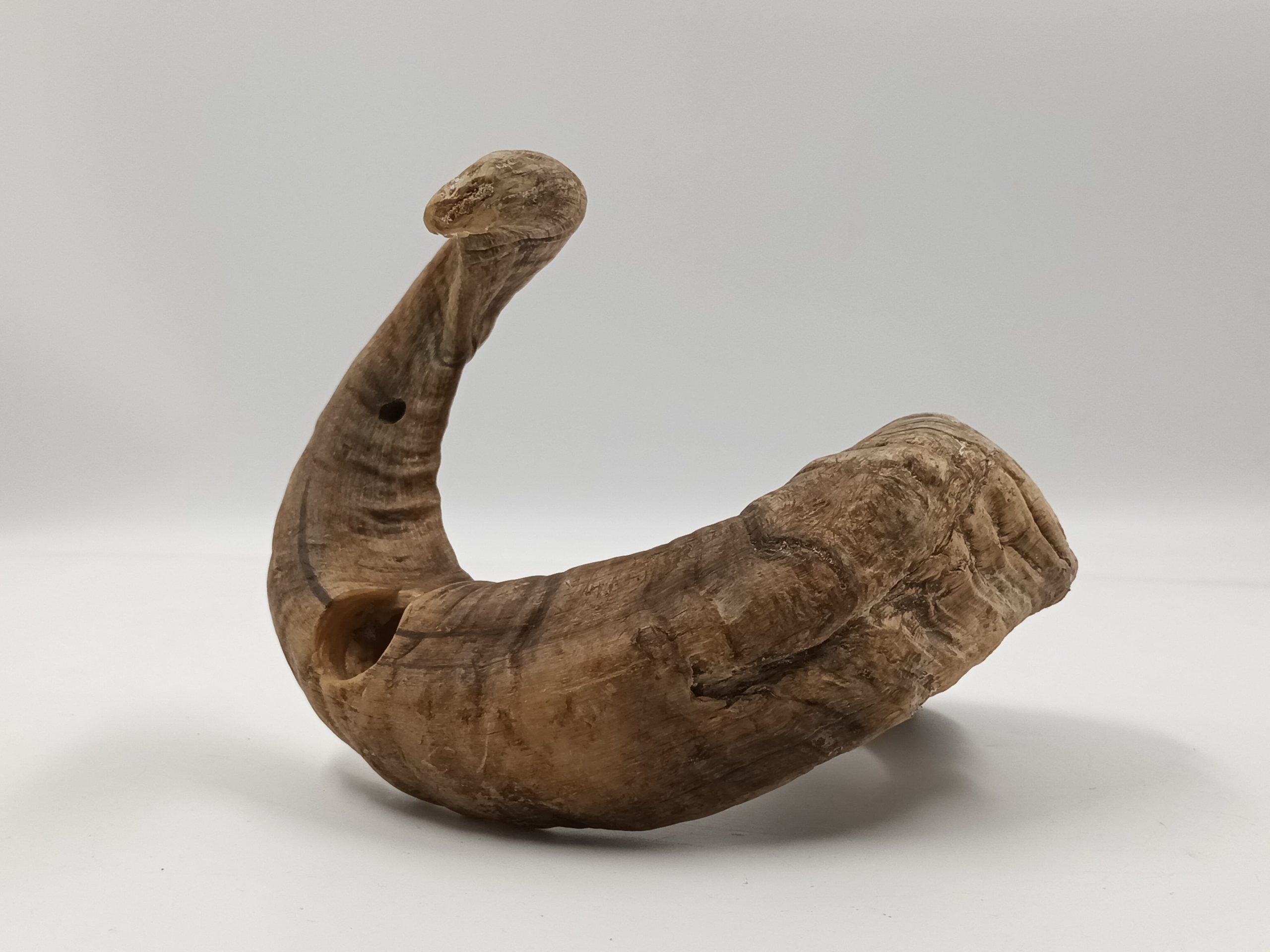 Vintage Shofar / Rams Horn - Drumattic