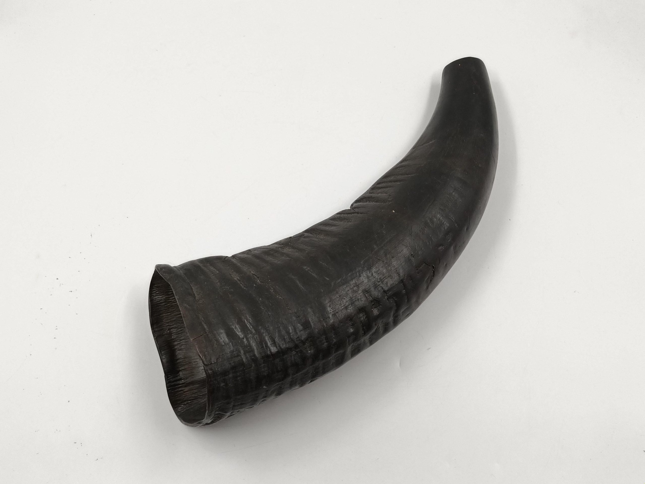 Vintage Shofar / Large Rams Horn - Drumattic